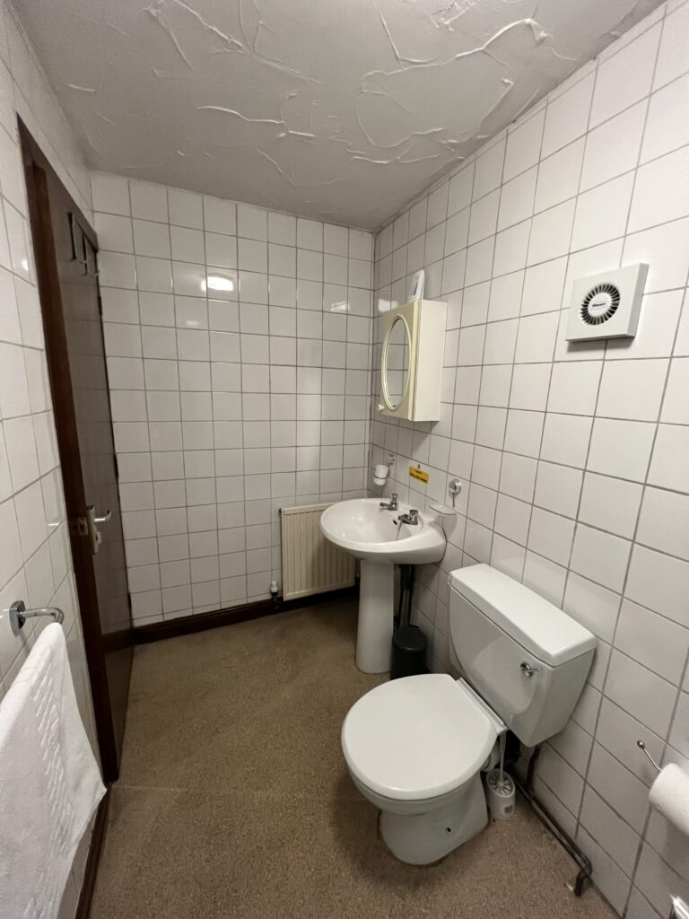 Black Dog, Belmont - Joseph Holt